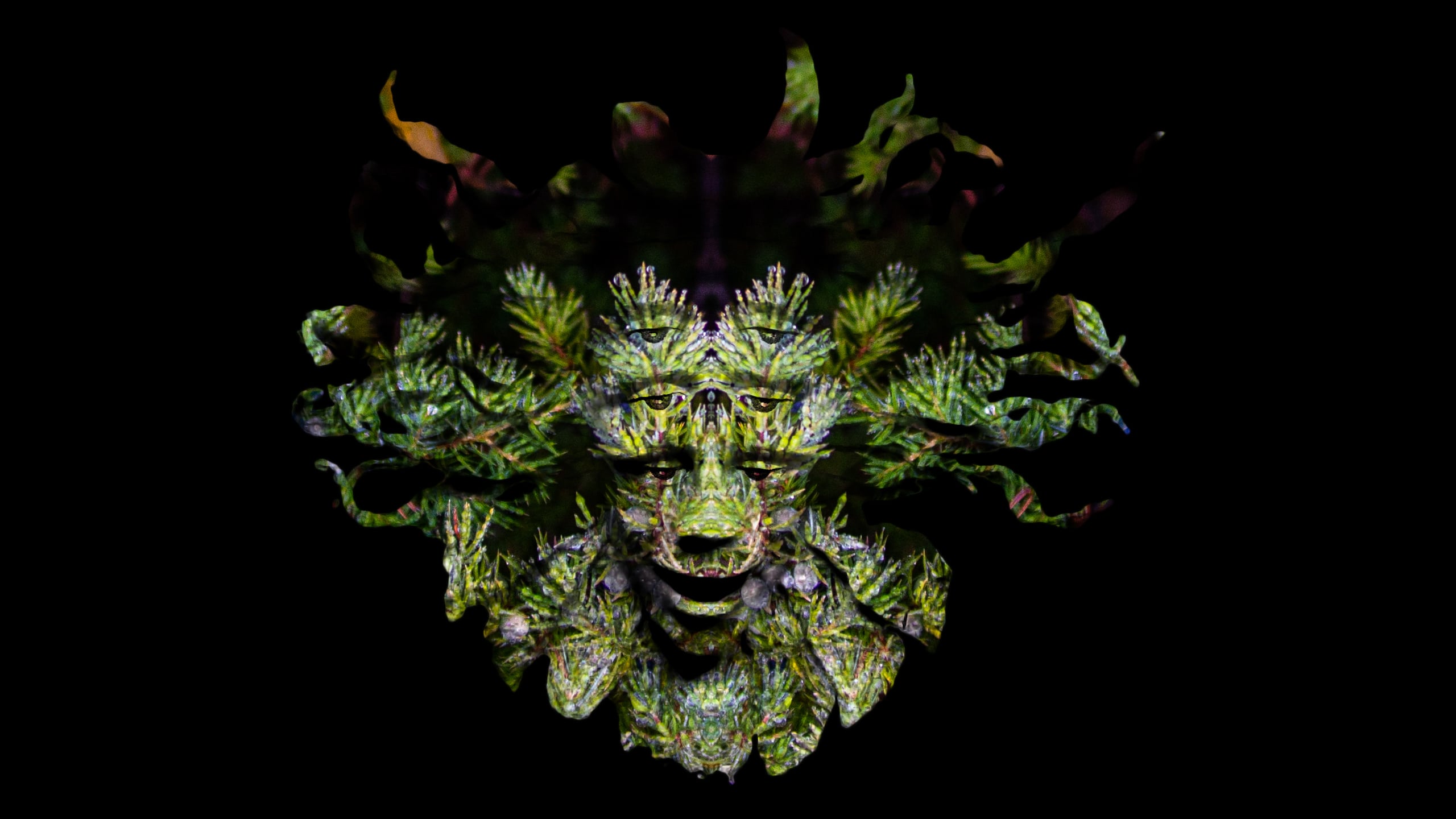 Shpongle Wallpapers - Wallpaper Cave