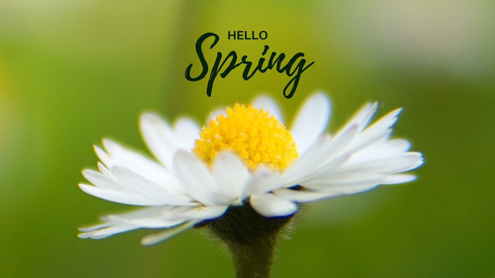 Springtime Computer Wallpapers - Wallpaper Cave