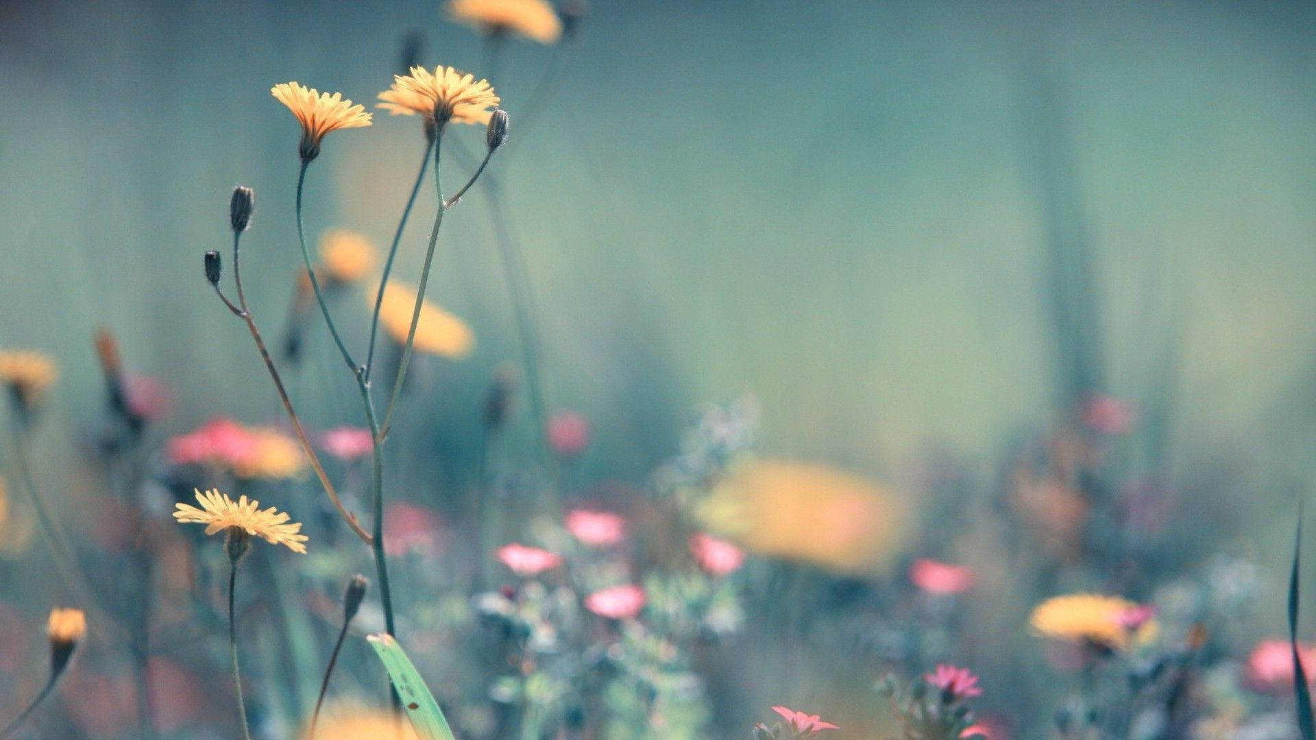 Springtime Computer Wallpapers - Wallpaper Cave