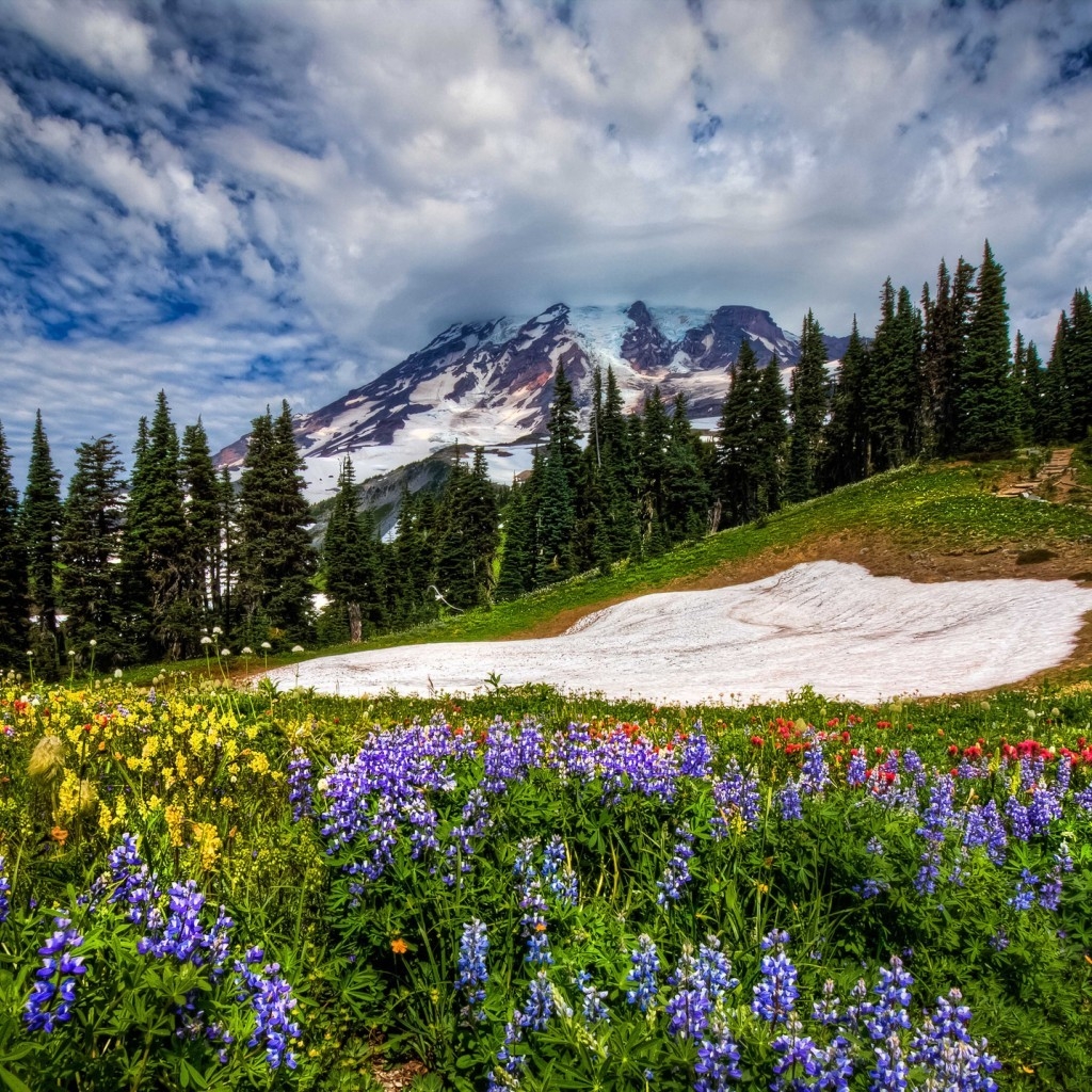 Early Spring iPad Wallpapers - Wallpaper Cave