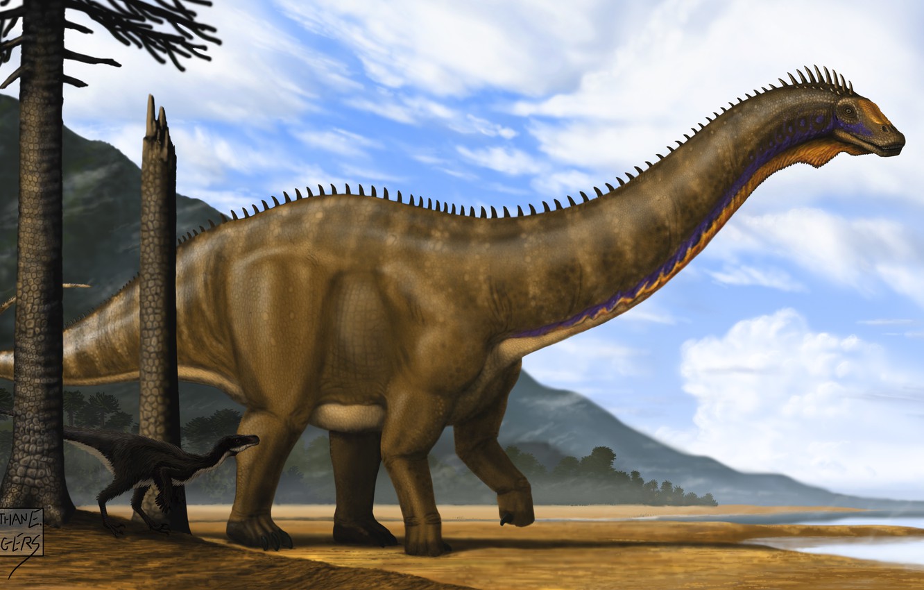 Apatosaurus Wallpapers - Wallpaper Cave