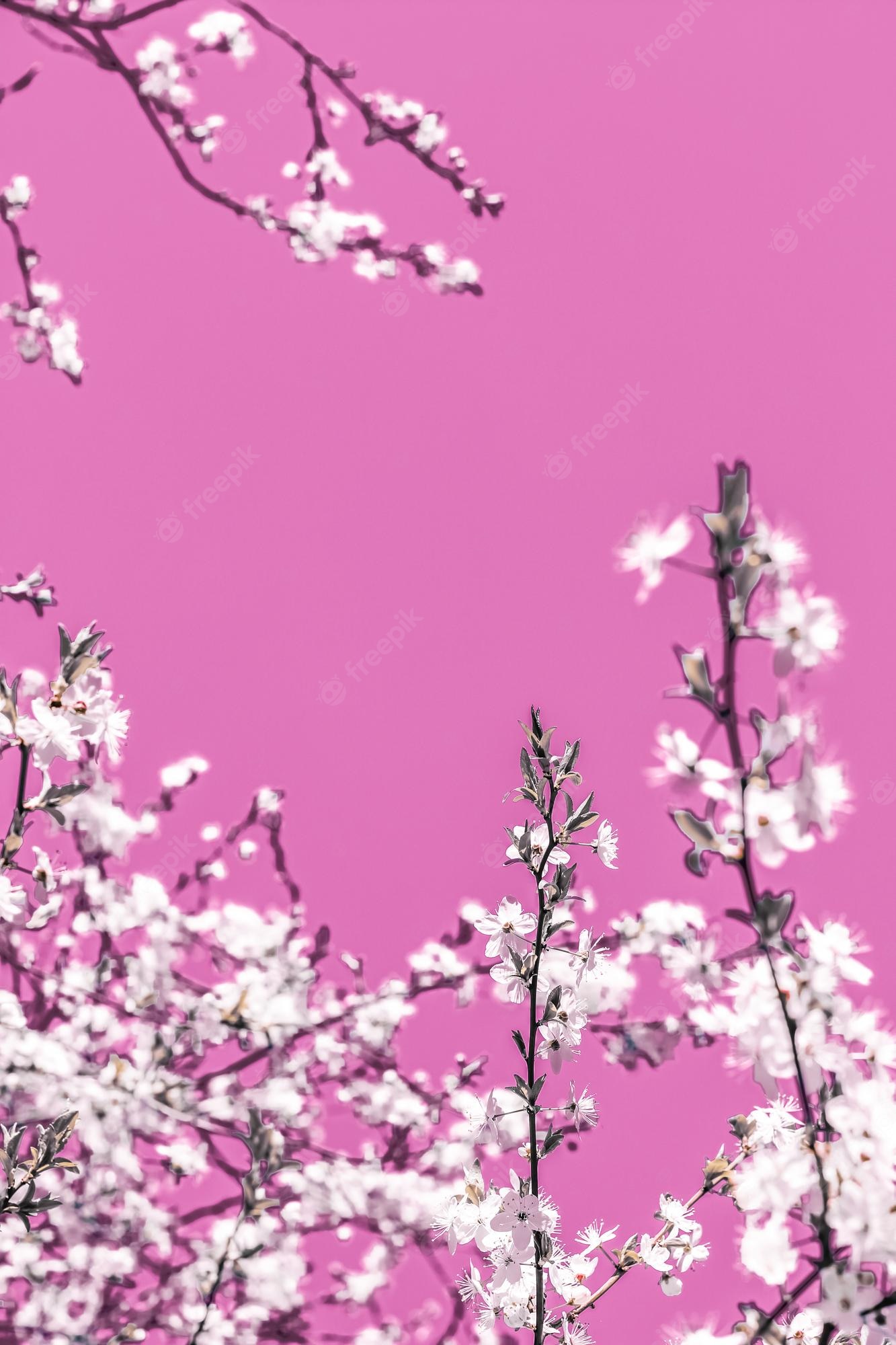 Luxury Spring Wallpapers - Wallpaper Cave