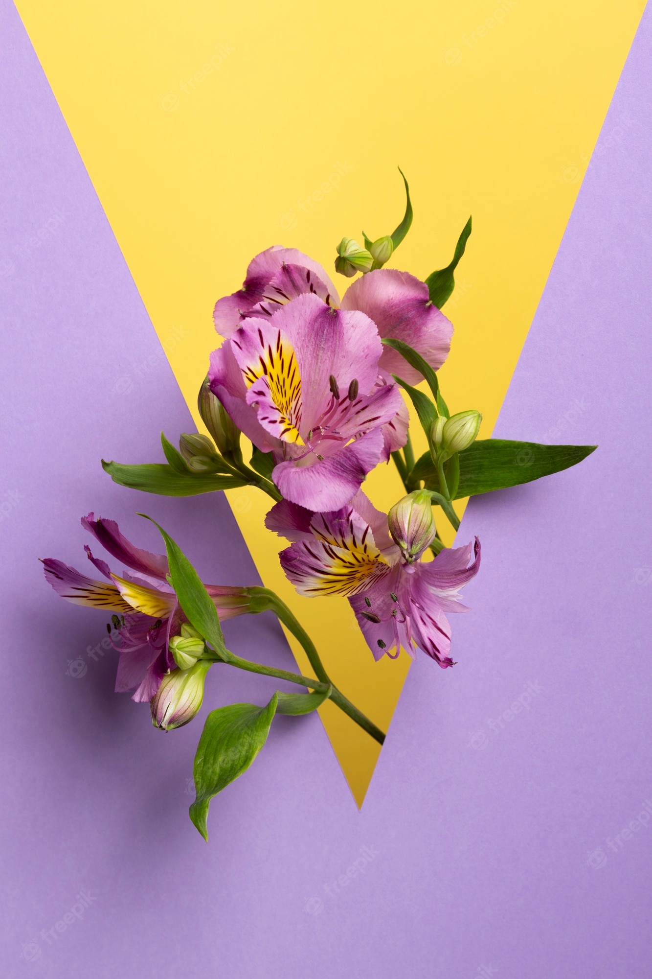 Aesthetic Purple Spring Wallpapers - Wallpaper Cave
