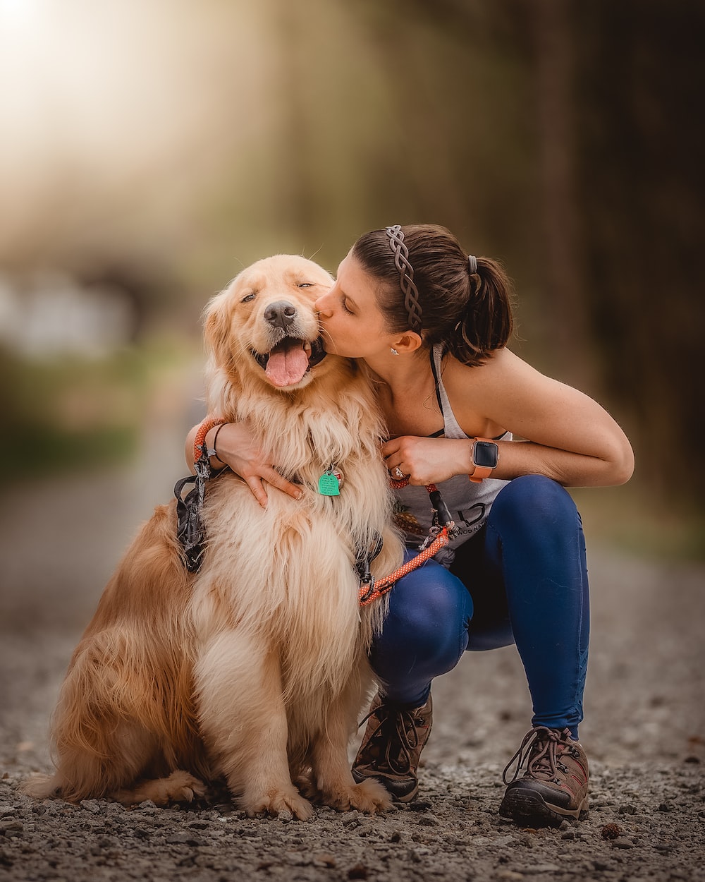 Female Dog Wallpapers - Wallpaper Cave