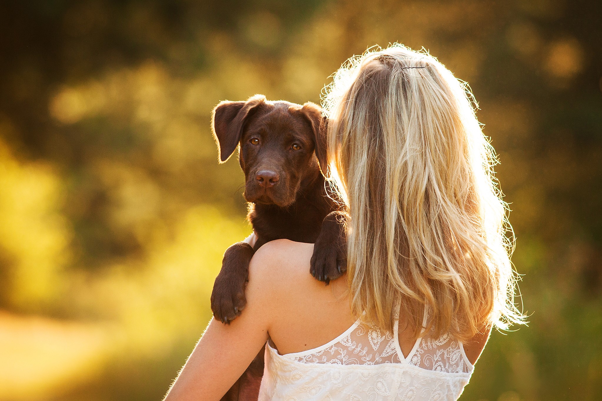 Female Dog Wallpapers - Wallpaper Cave
