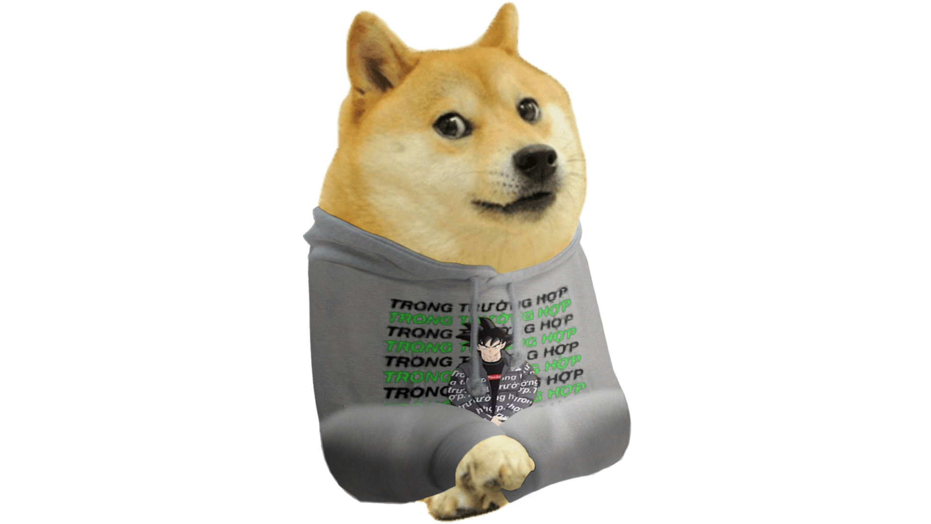 Drip Dog Wallpapers - Wallpaper Cave