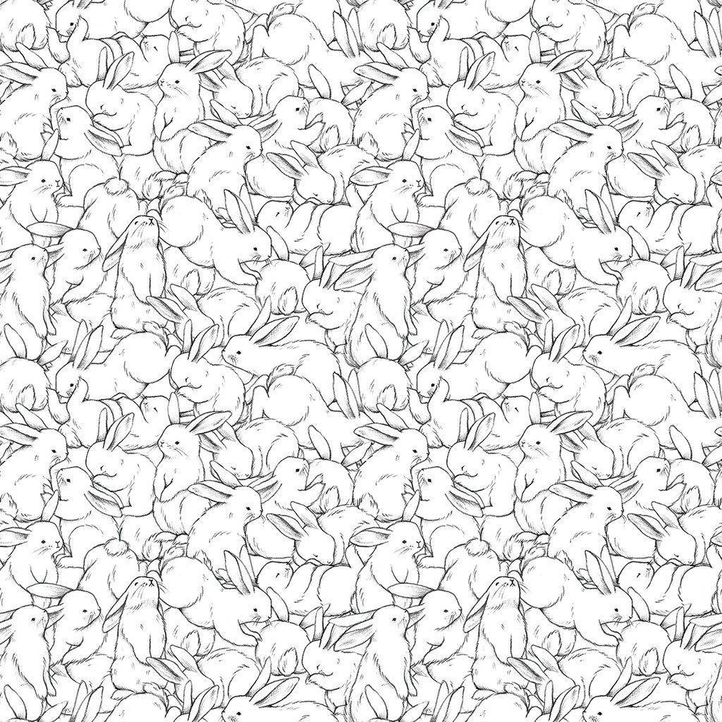 Bunny Drawing Wallpapers - Wallpaper Cave