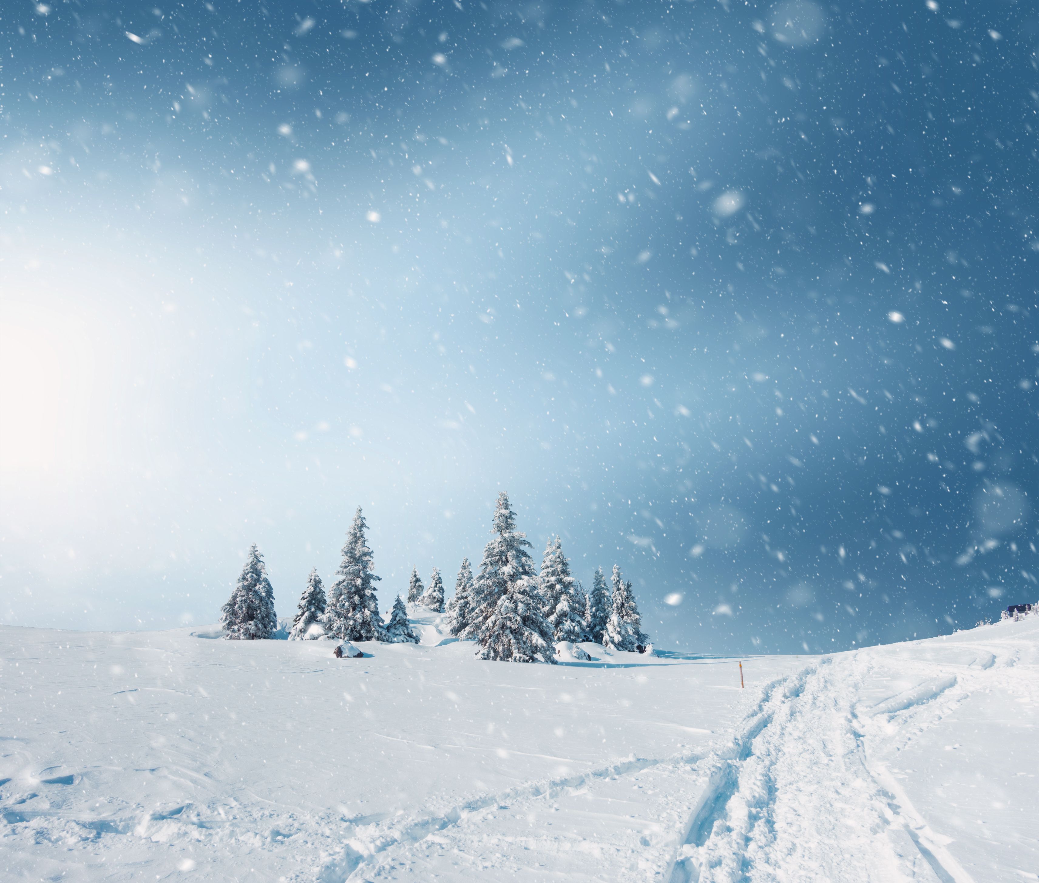 Lazy Winter Wallpapers - Wallpaper Cave