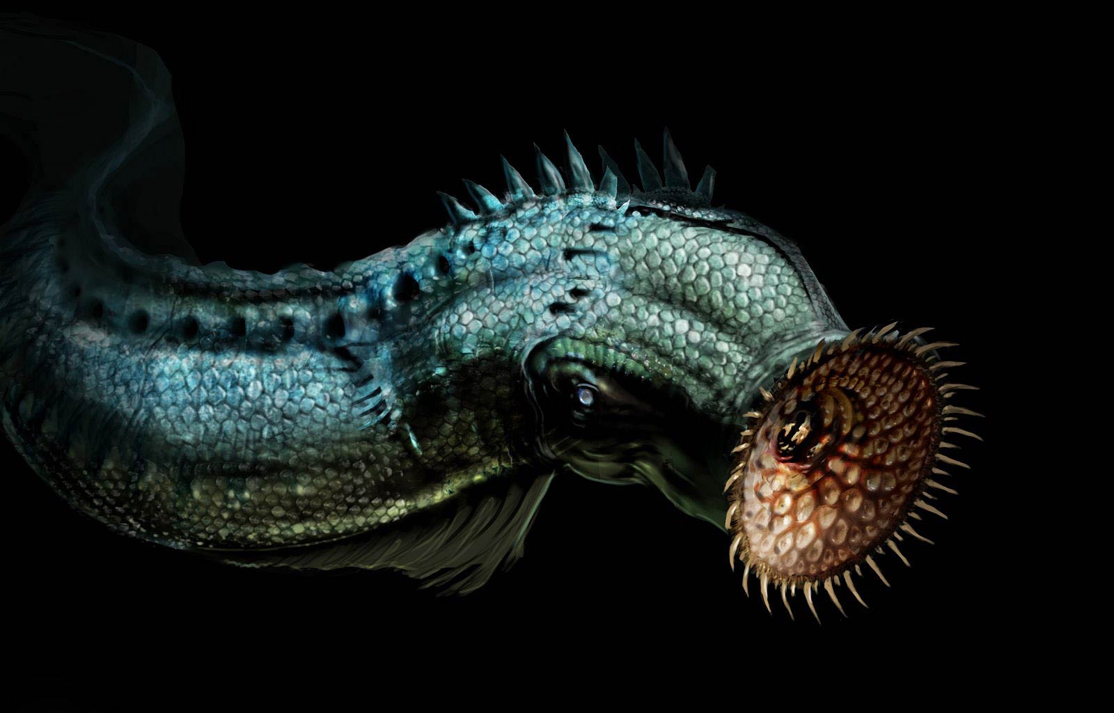 Sea Lamprey Wallpapers - Wallpaper Cave