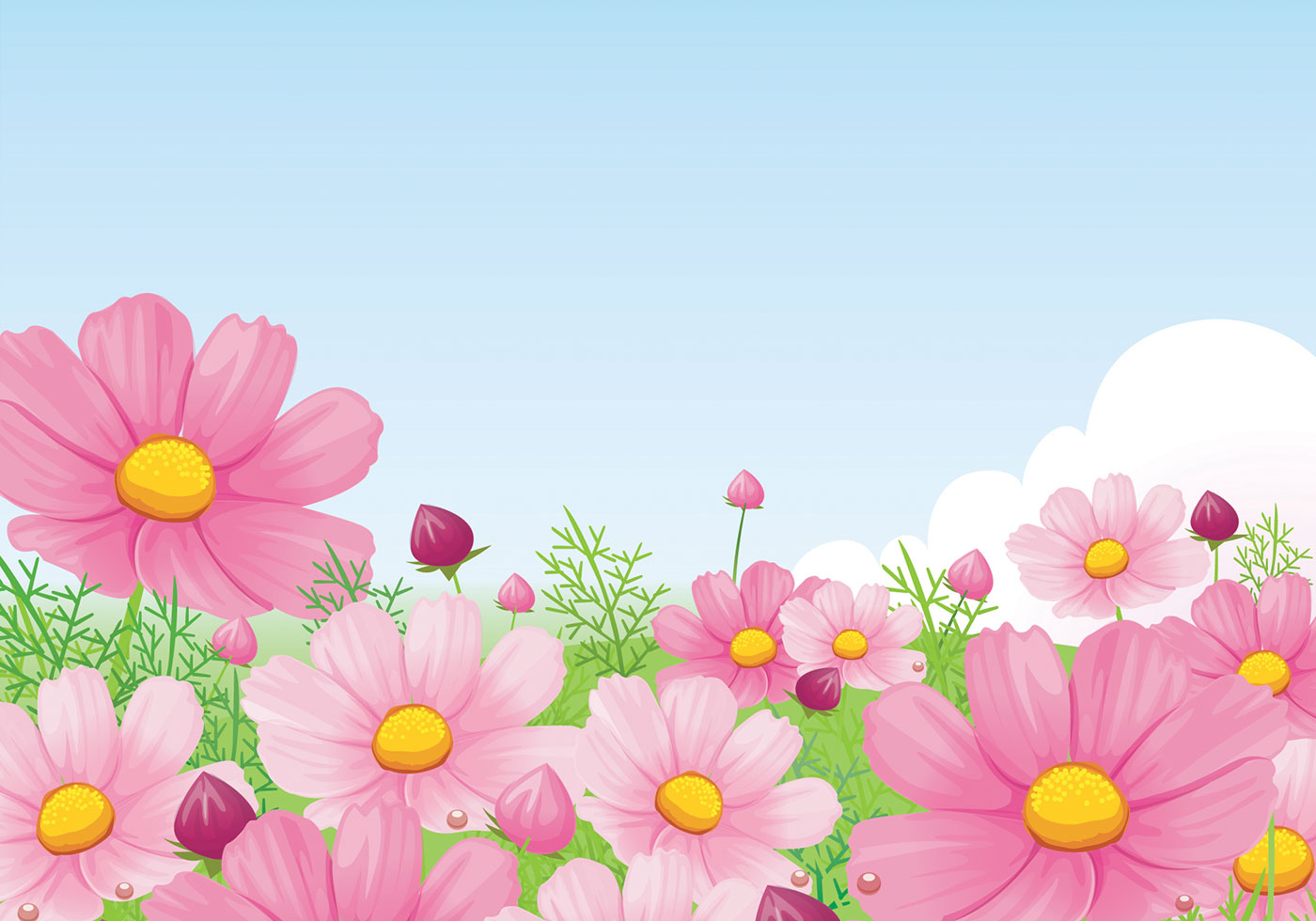 Daisy Spring Wallpapers - Wallpaper Cave