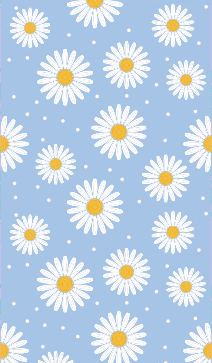 Daisy Spring Wallpapers - Wallpaper Cave