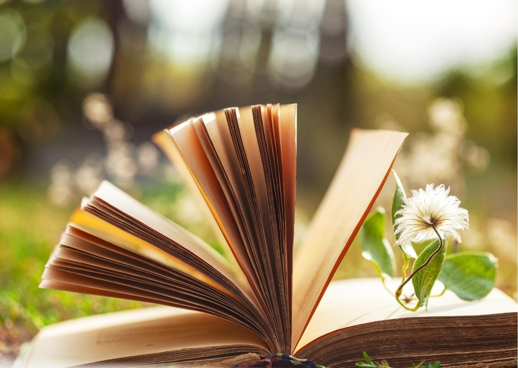 Books And Spring Wallpapers - Wallpaper Cave