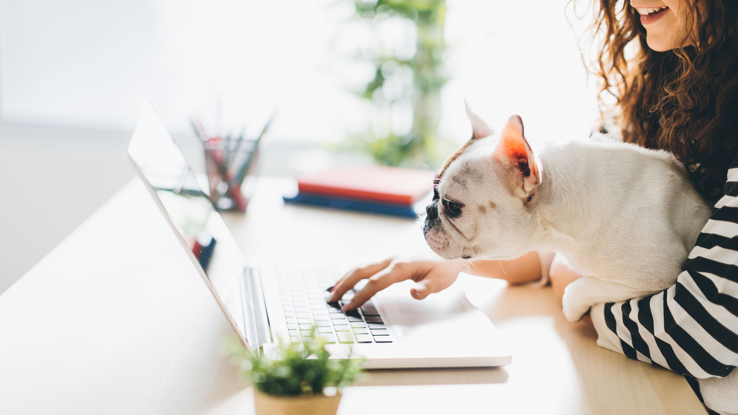 Animals Helping People Wallpapers - Wallpaper Cave