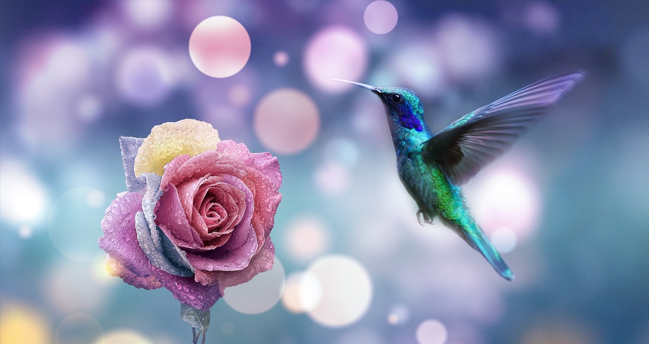 Bird With Roses Wallpapers - Wallpaper Cave