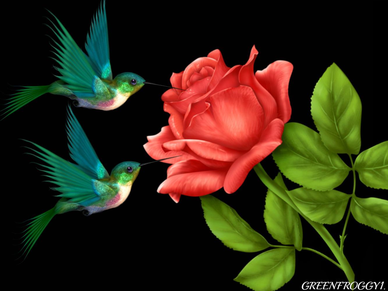 Bird With Roses Wallpapers - Wallpaper Cave
