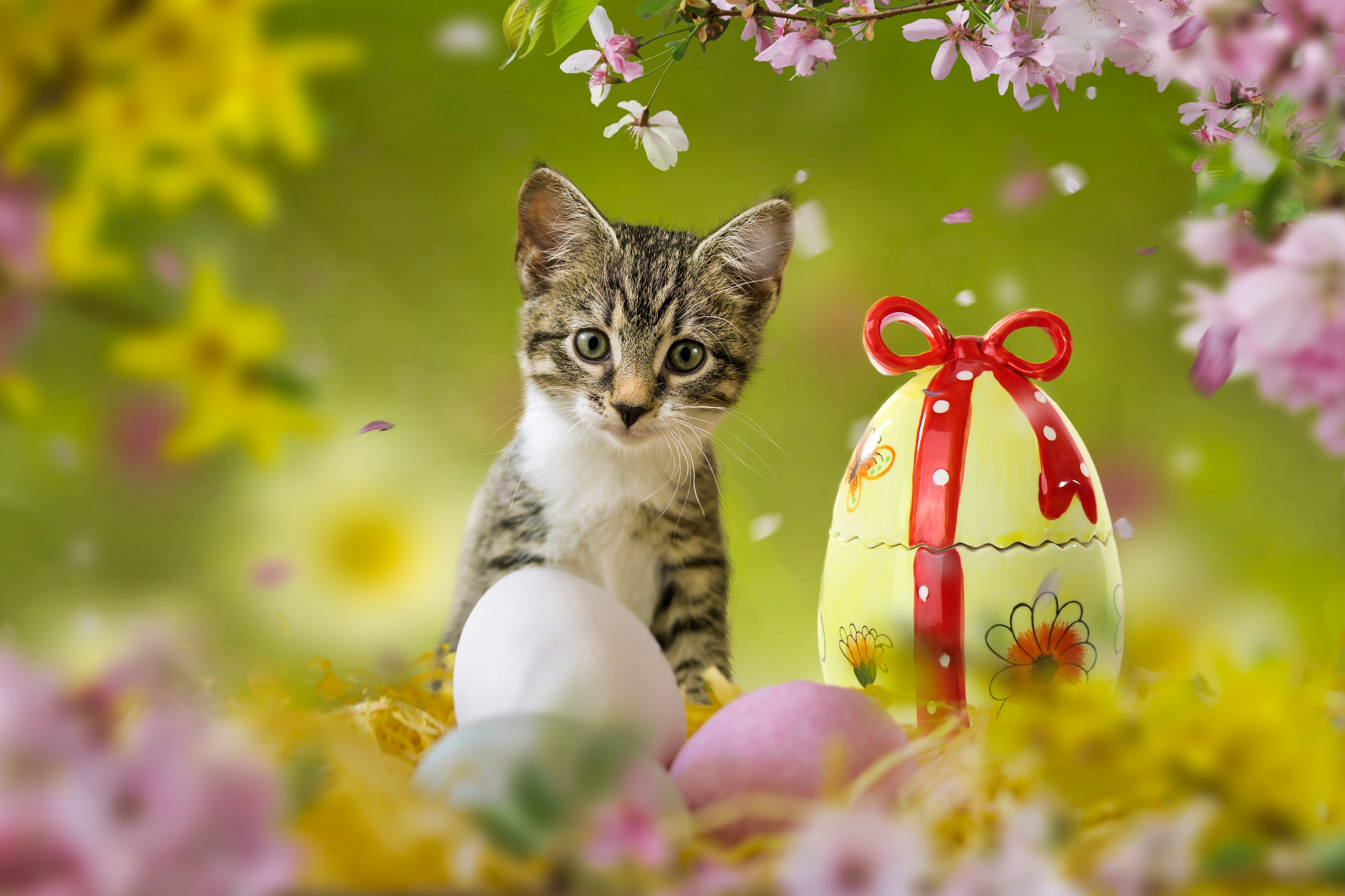 Cute Easter Pets Wallpapers - Wallpaper Cave