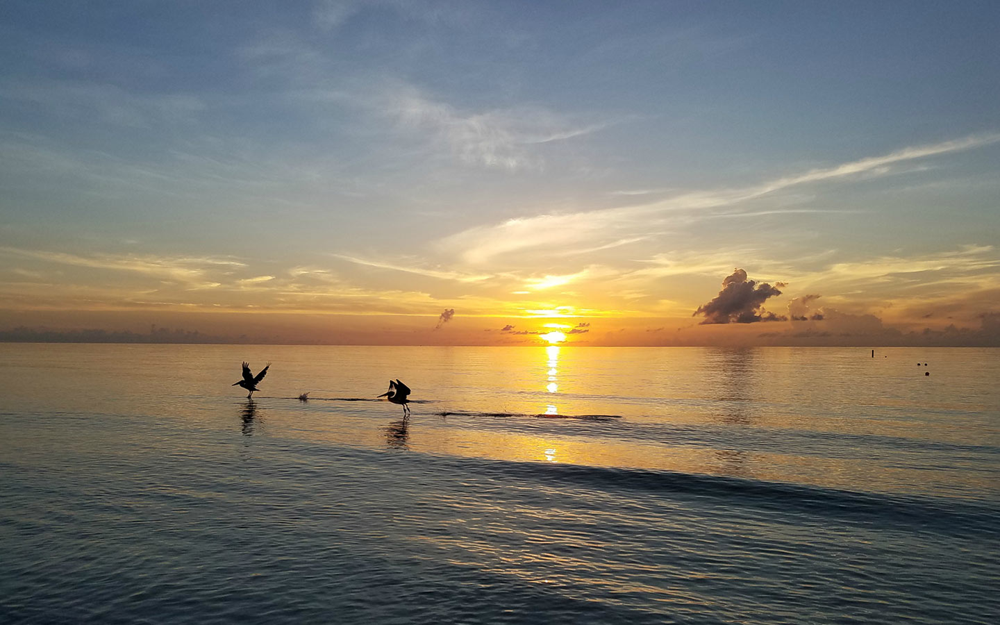 Beach Sunset Miami Wallpapers - Wallpaper Cave