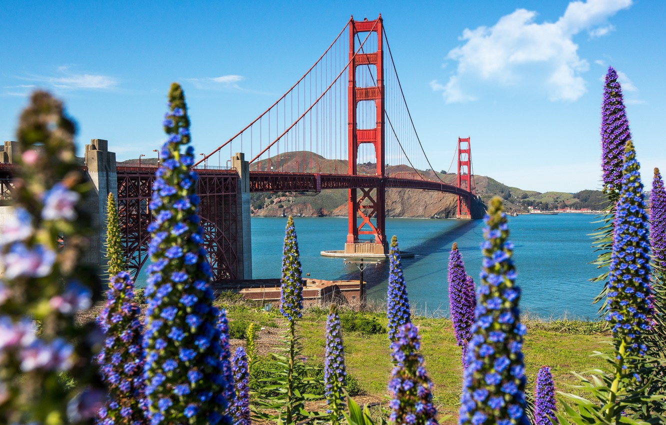 Spring San Francisco Wallpapers - Wallpaper Cave