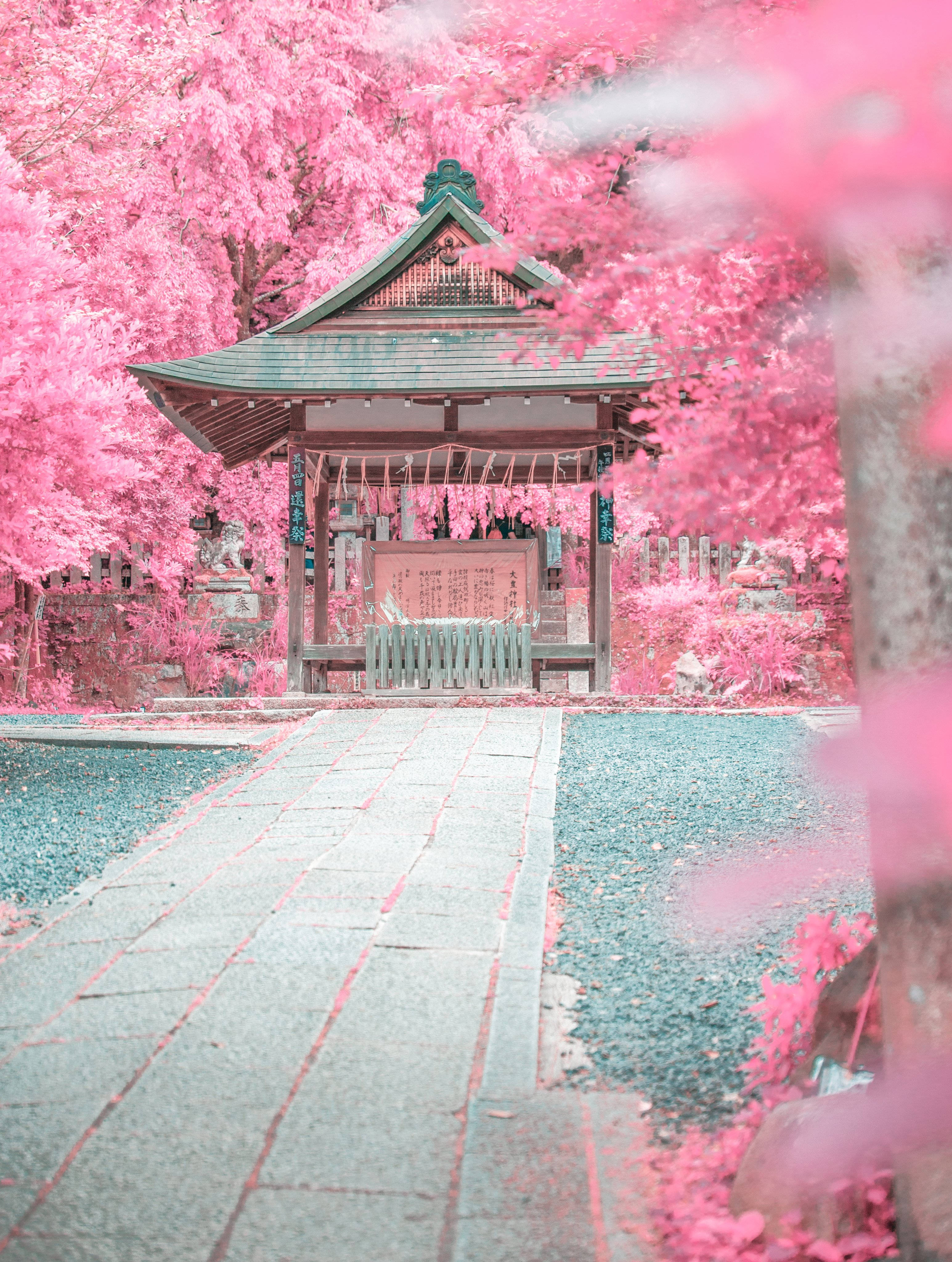 Aesthetic Spring Japan Wallpapers - Wallpaper Cave