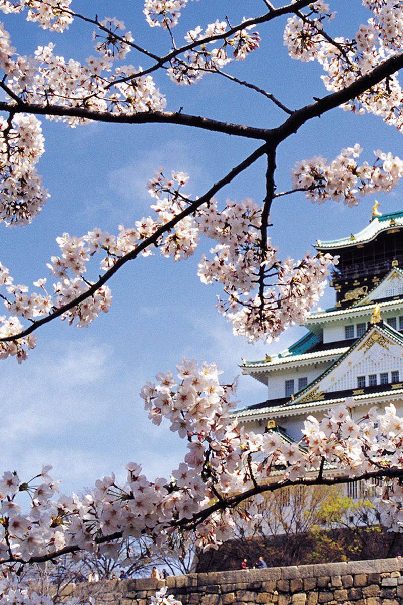 Aesthetic Spring Japan Wallpapers - Wallpaper Cave
