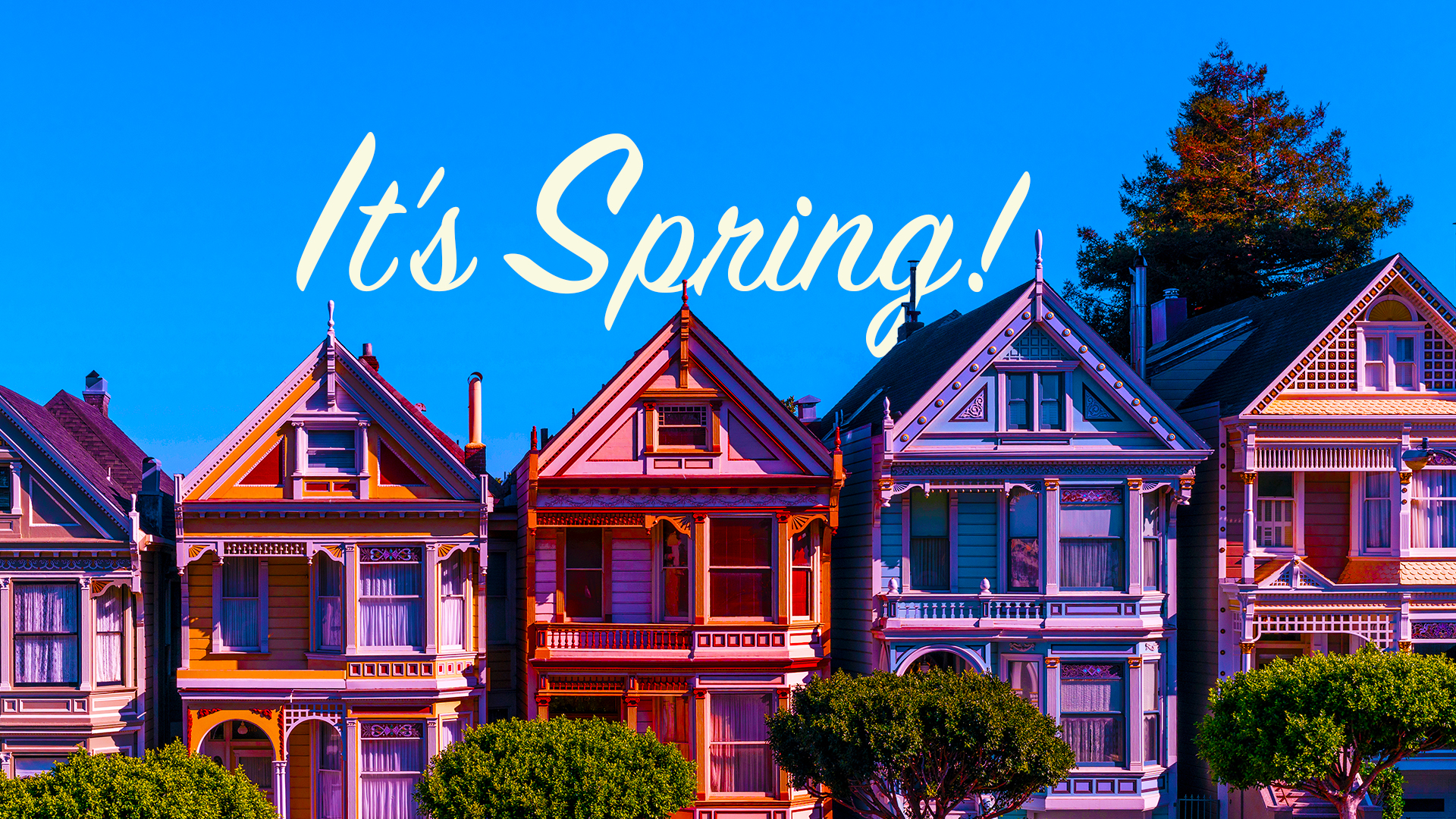 Spring San Francisco Wallpapers - Wallpaper Cave