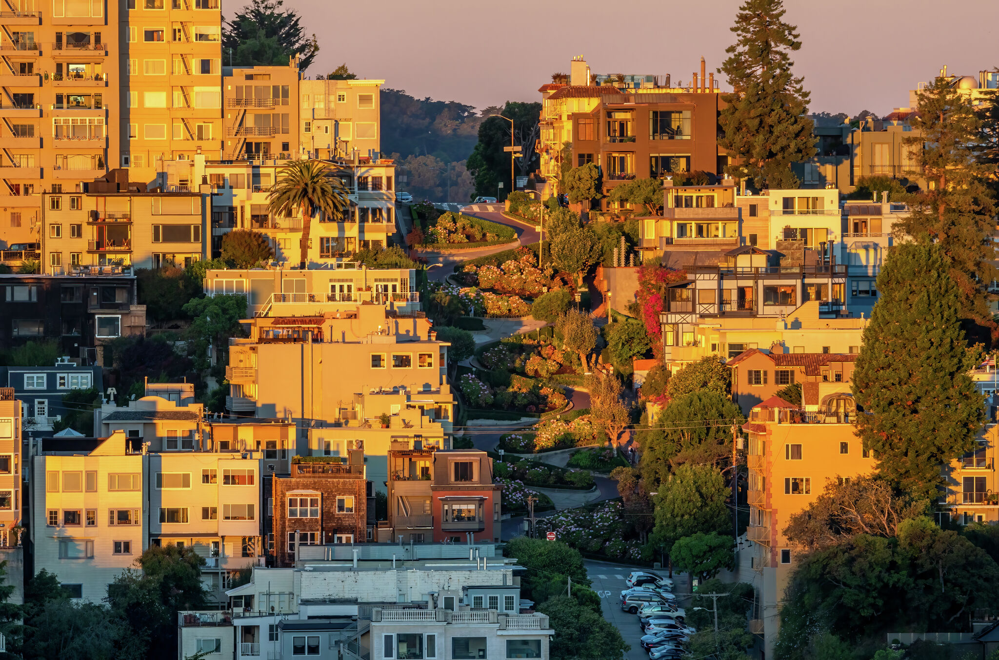 Spring San Francisco Wallpapers - Wallpaper Cave