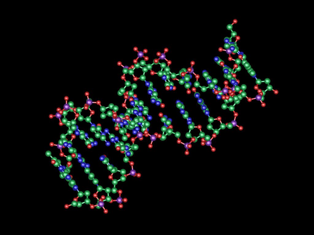 Transcription Wallpapers - Wallpaper Cave