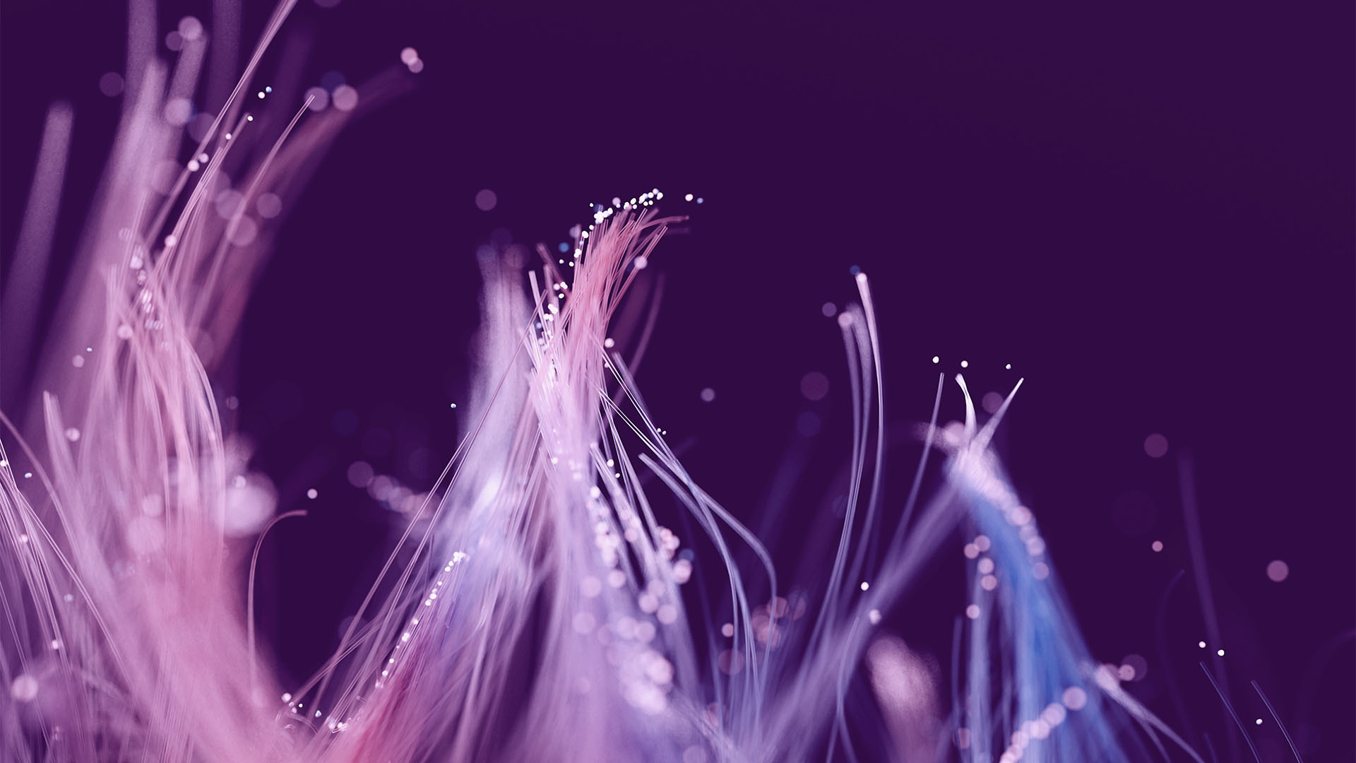 Transcription Wallpapers - Wallpaper Cave