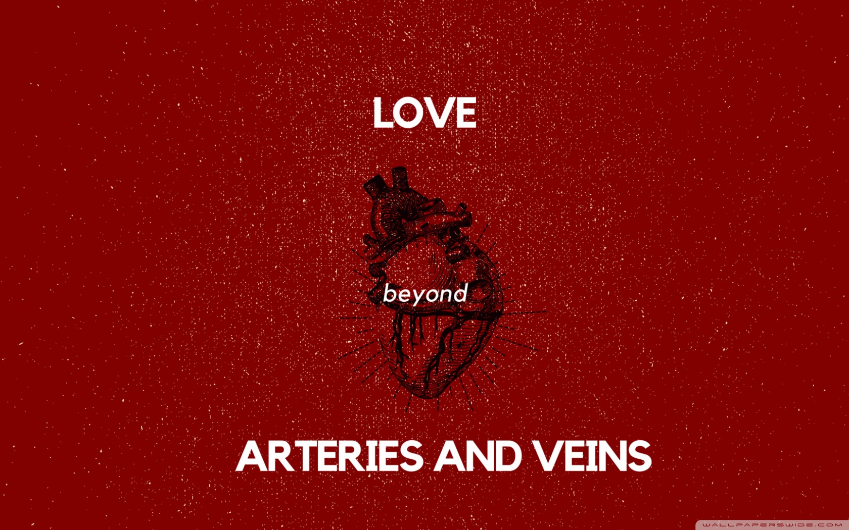 Arteries Wallpapers - Wallpaper Cave