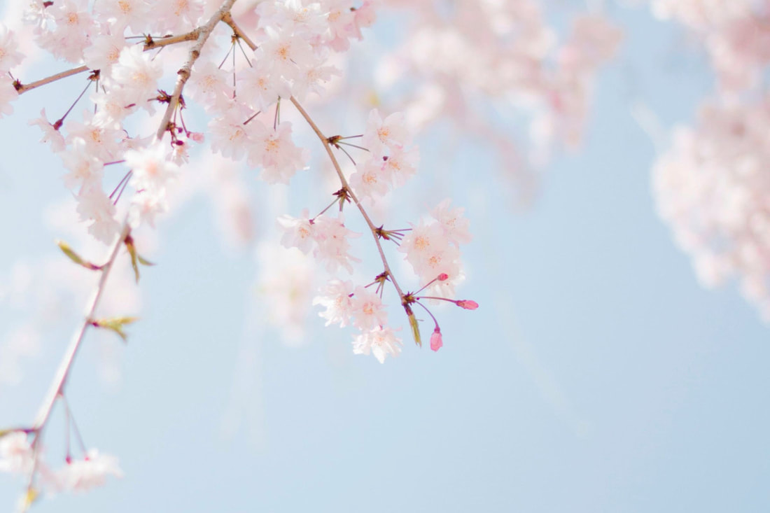 Cozy Spring Desktop Wallpapers - Wallpaper Cave