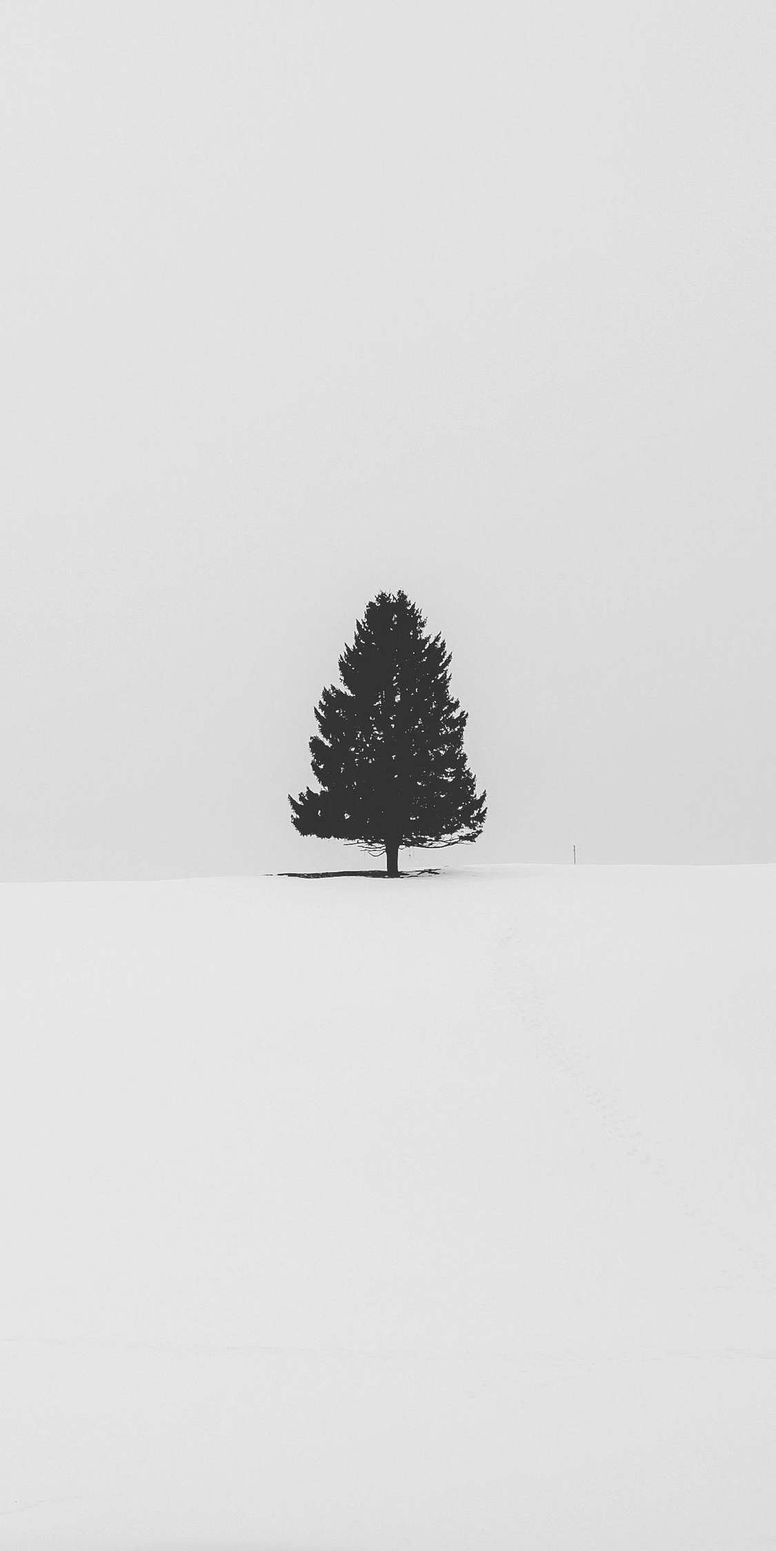 Winter Tree iPhone Wallpapers - Wallpaper Cave