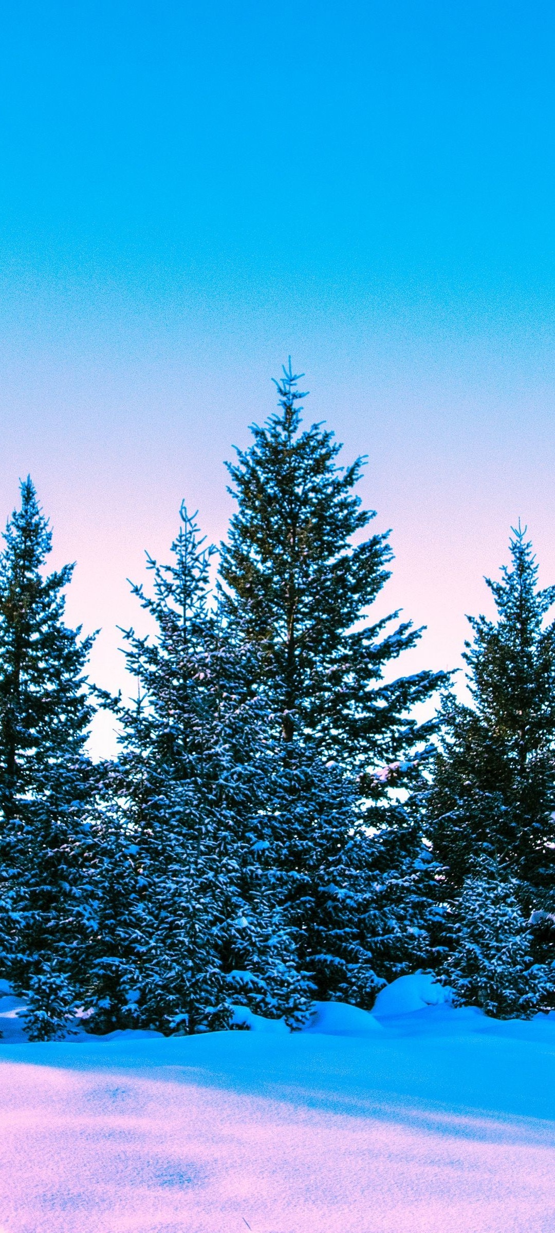 Winter Tree iPhone Wallpapers - Wallpaper Cave