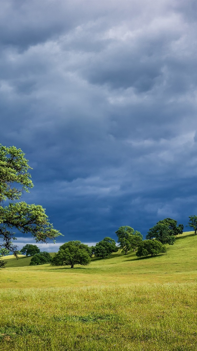 California Spring iPhone Wallpapers - Wallpaper Cave