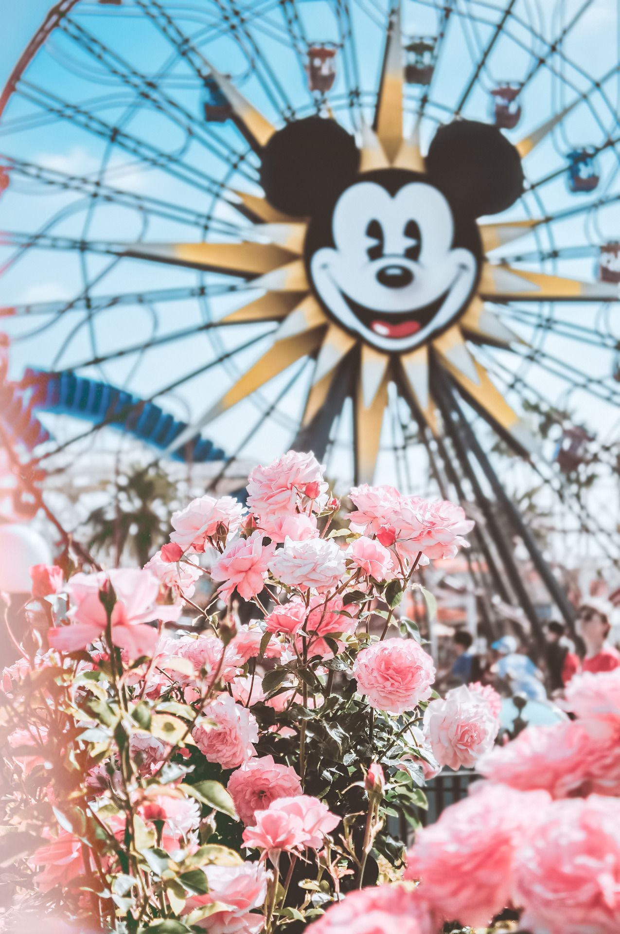 California Spring iPhone Wallpapers - Wallpaper Cave