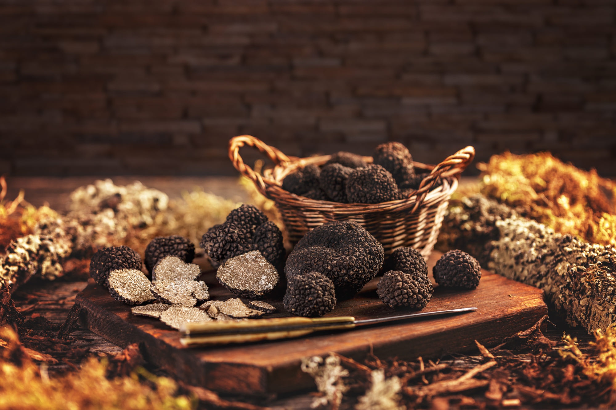 Truffle Wallpapers - Wallpaper Cave