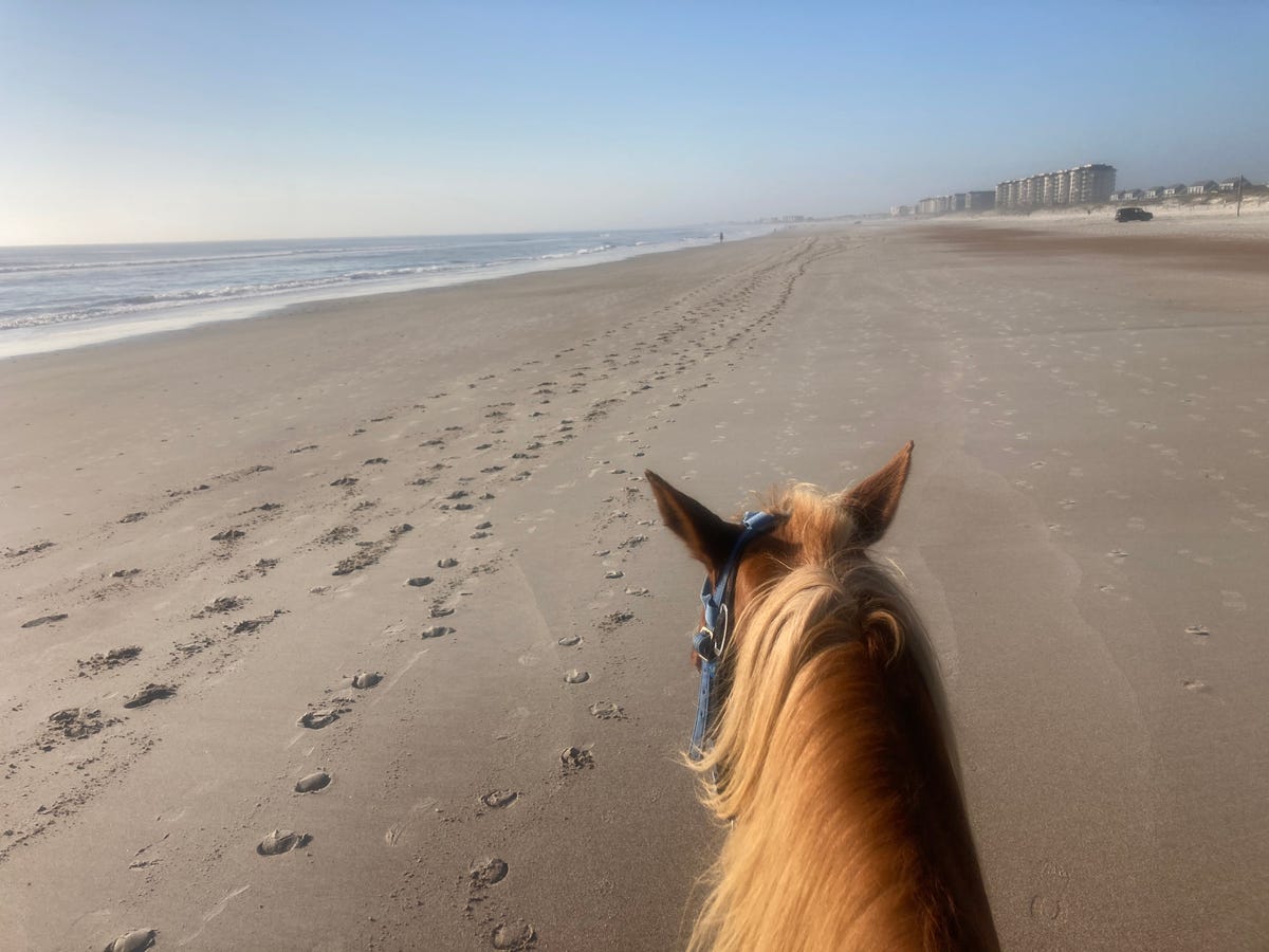 Horses On The Beach Wallpapers - Wallpaper Cave