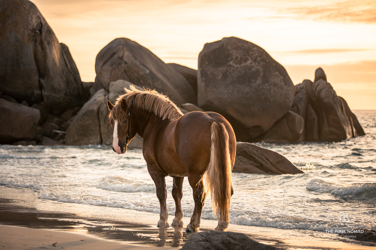 Horses On The Beach Wallpapers - Wallpaper Cave