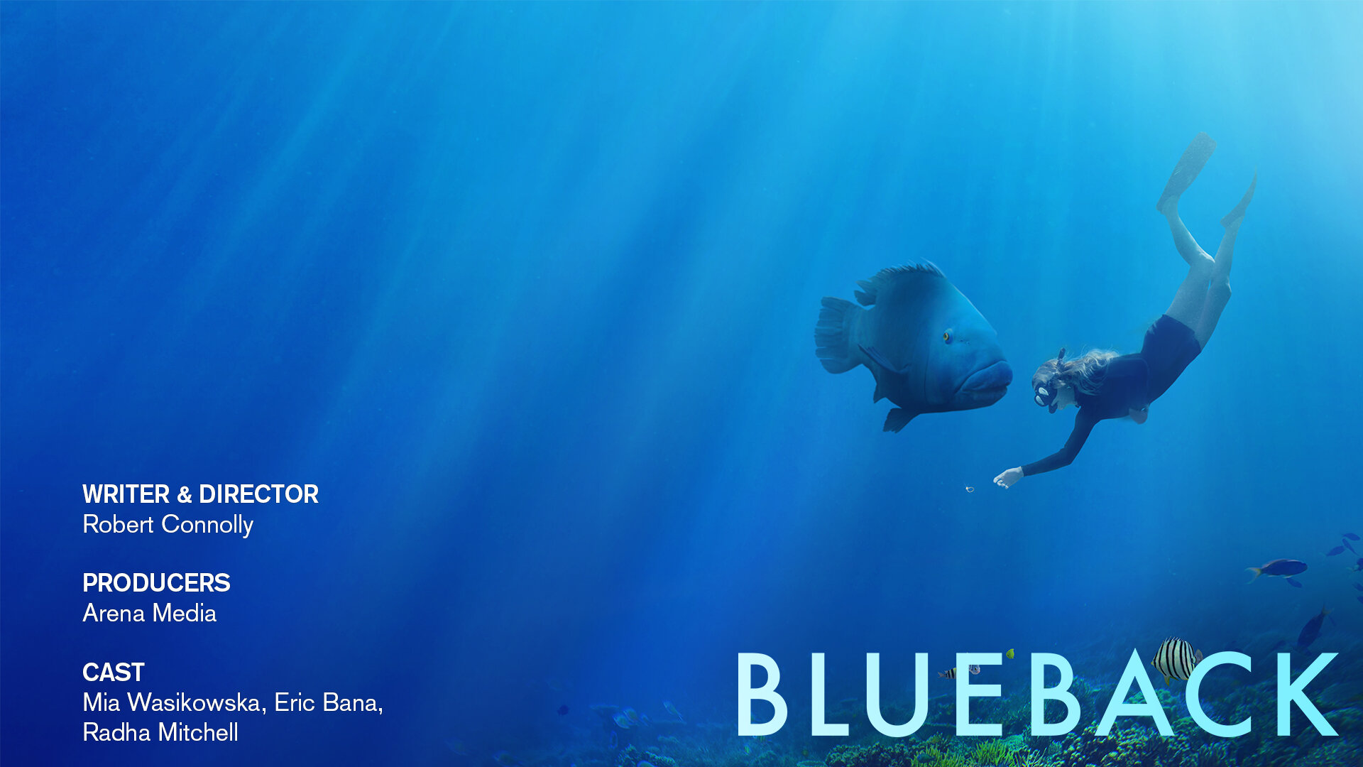 Blueback Movie Wallpapers - Wallpaper Cave
