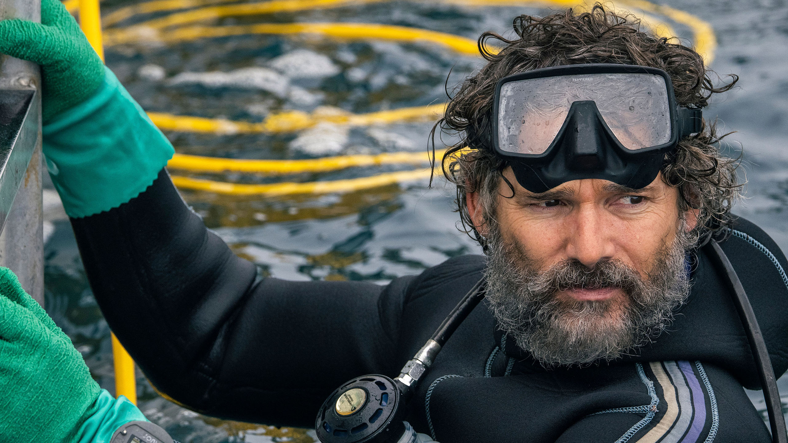 Blueback Movie Wallpapers - Wallpaper Cave