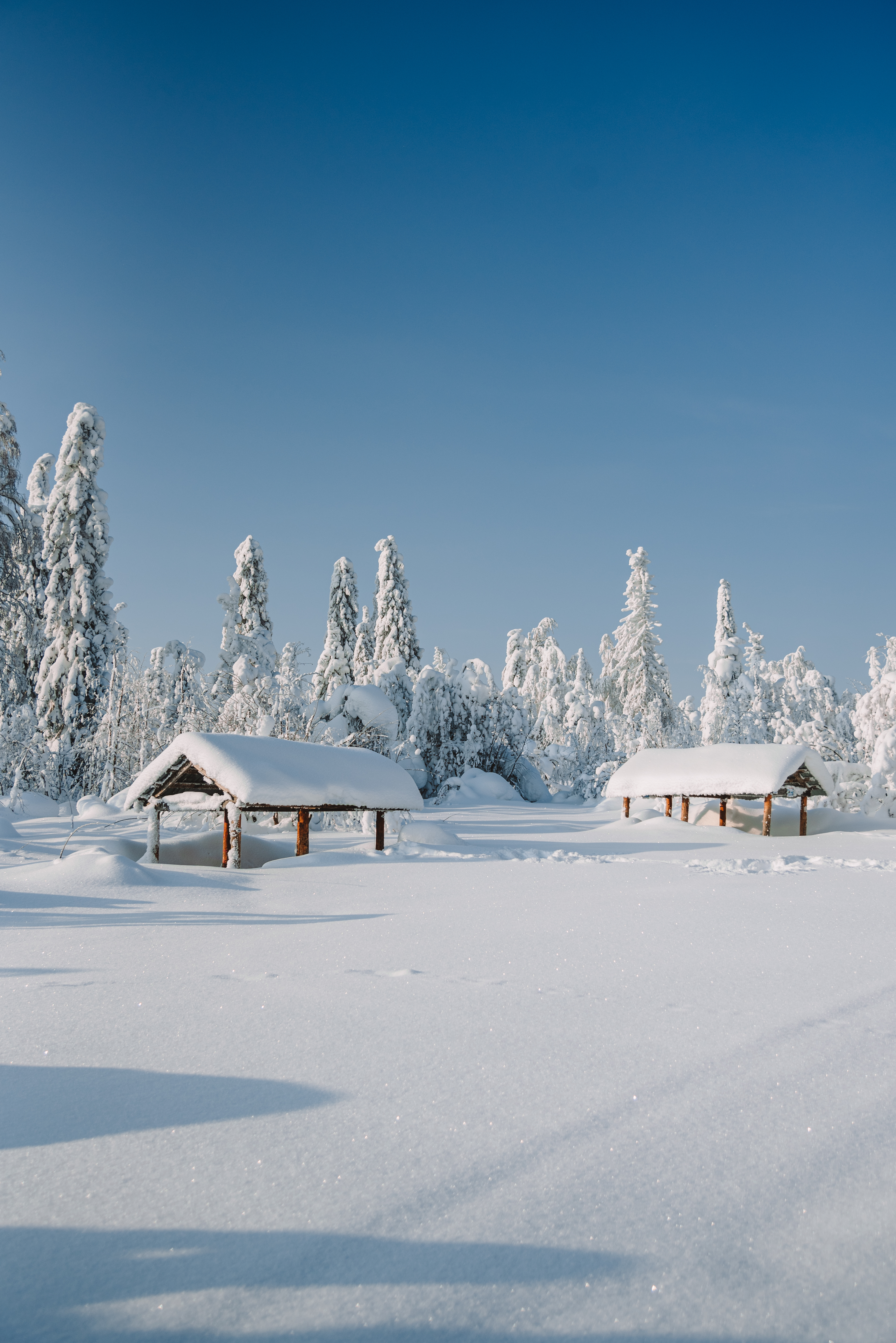 Winter Tranquility Wallpapers - Wallpaper Cave