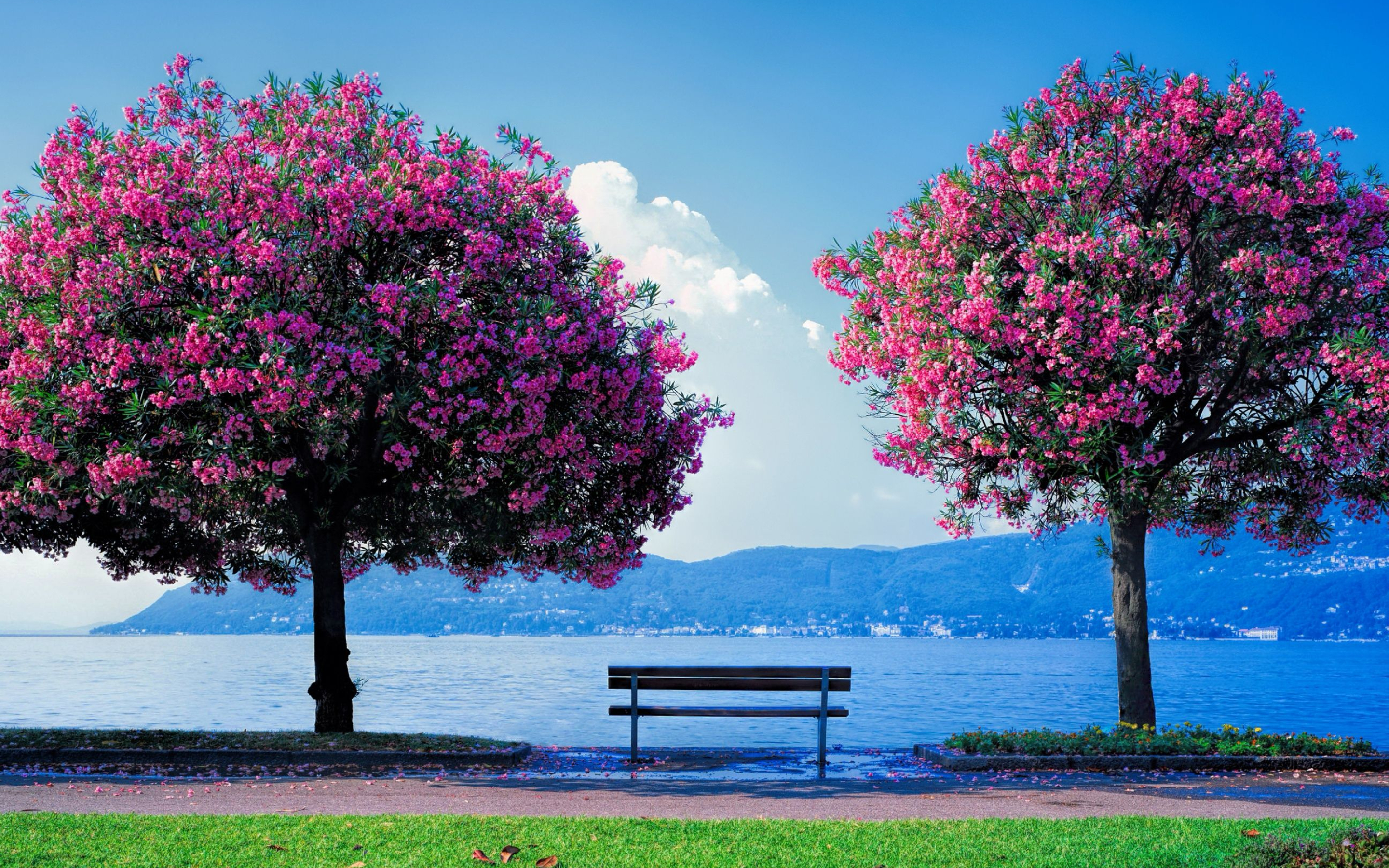 Nature Spring 8k Wallpapers - Wallpaper Cave