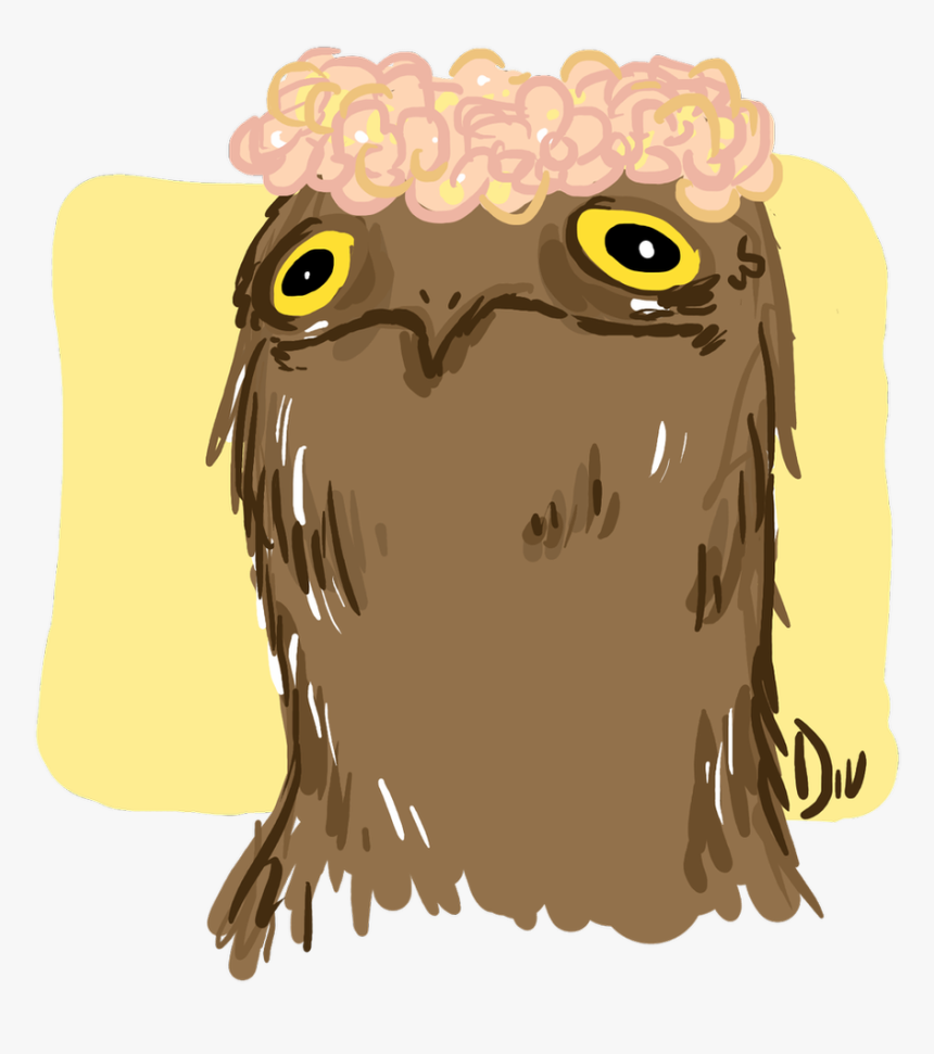 Potoo Wallpapers - Wallpaper Cave