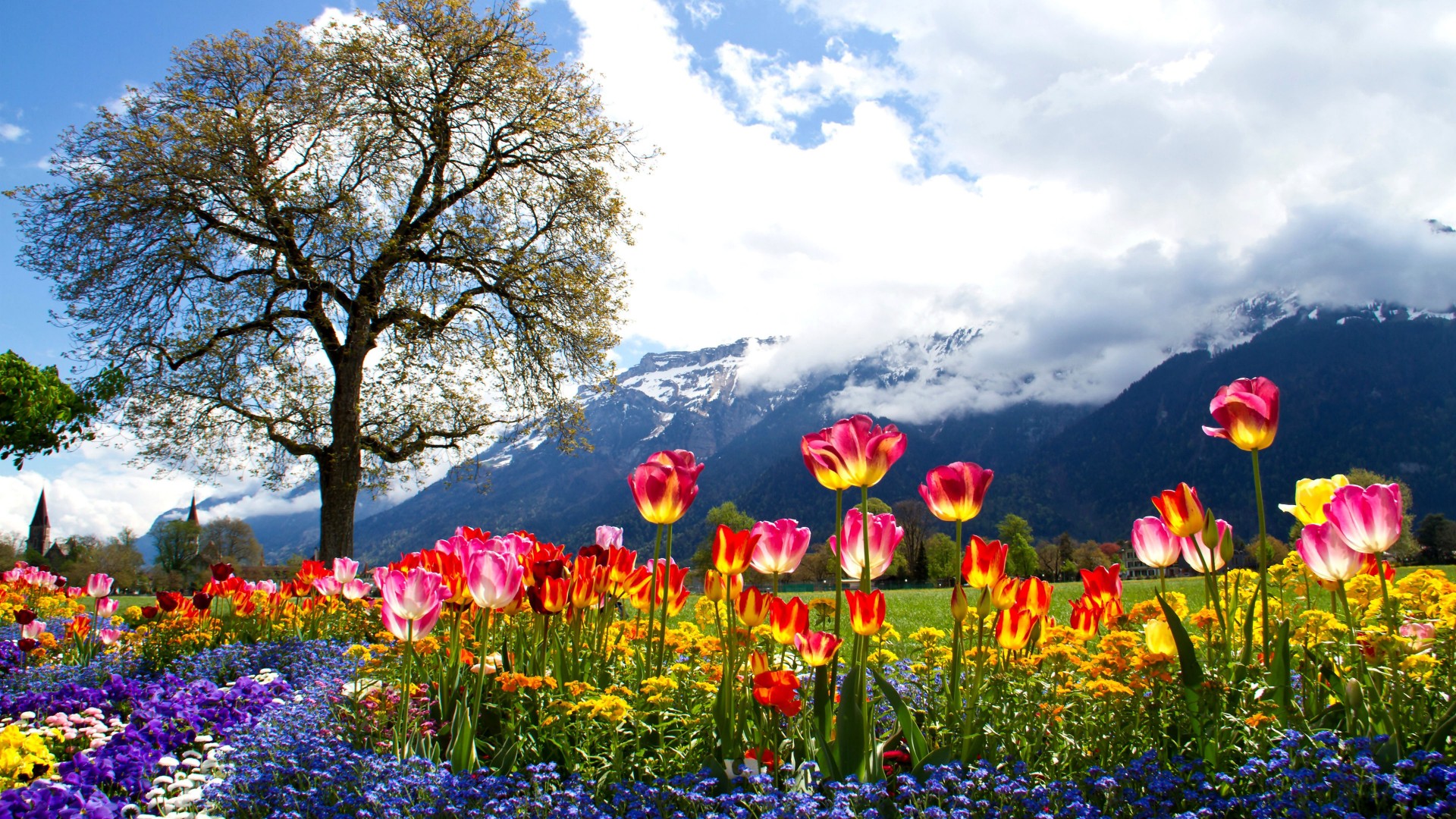 Colorful Spring Nature Wallpapers - Wallpaper Cave