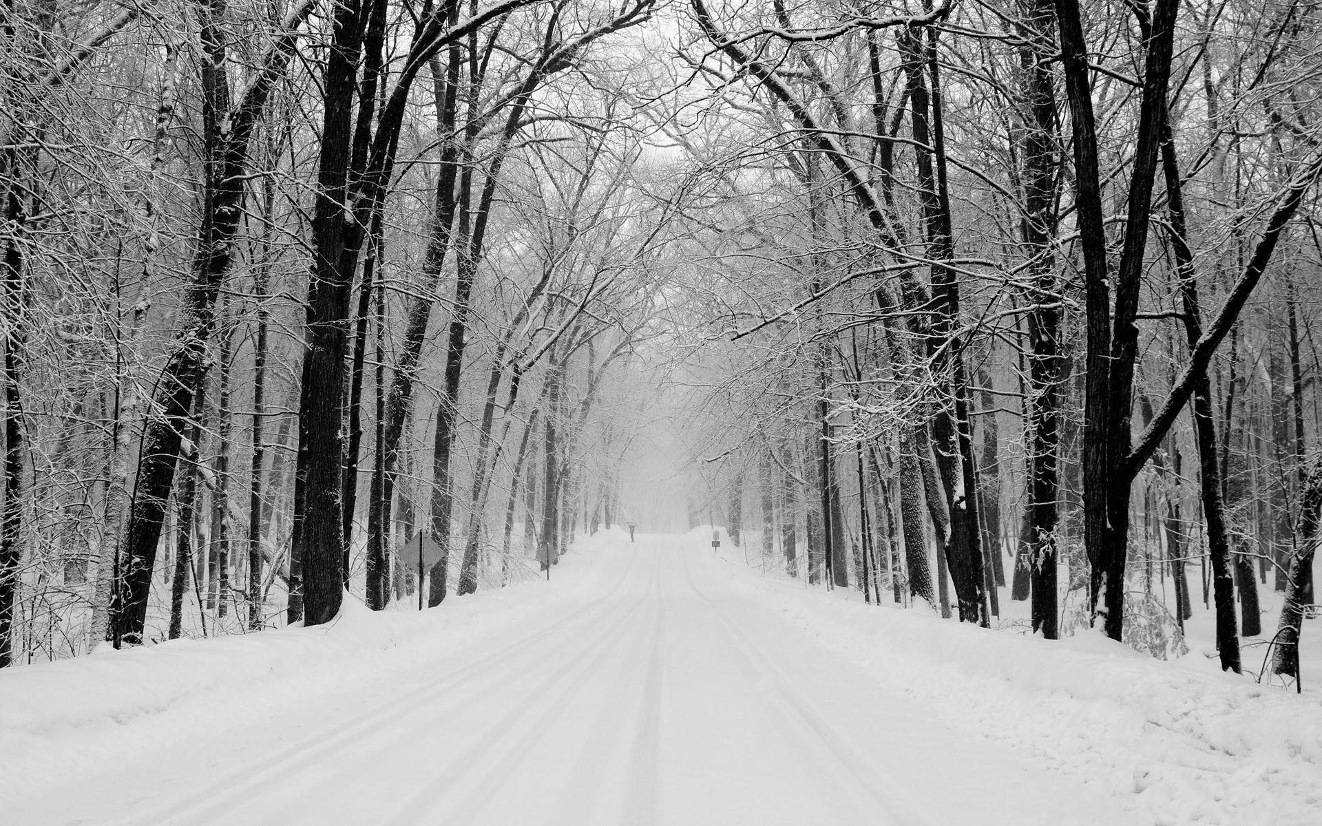 Dark Winter Road Way Wallpapers - Wallpaper Cave