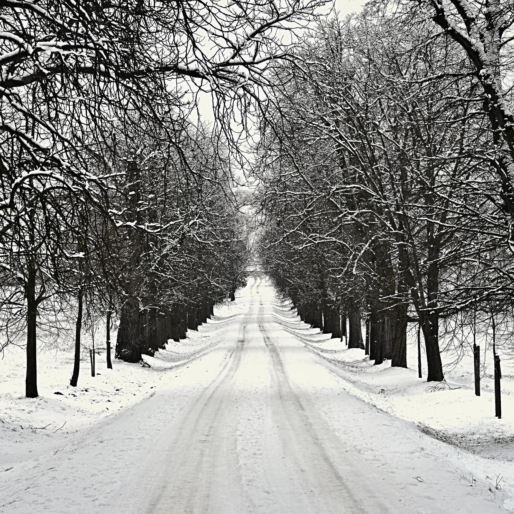 Dark Winter Road Way Wallpapers - Wallpaper Cave