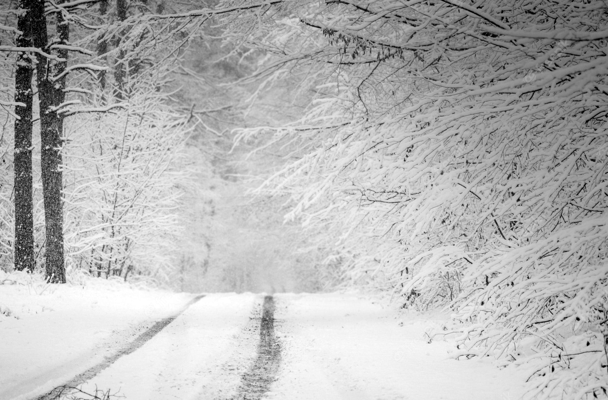 Dark Winter Road Way Wallpapers - Wallpaper Cave