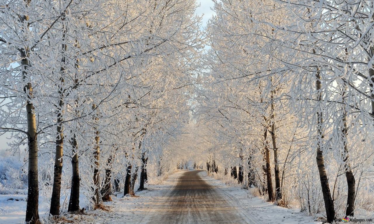 Natural Winter Road Way Wallpapers - Wallpaper Cave