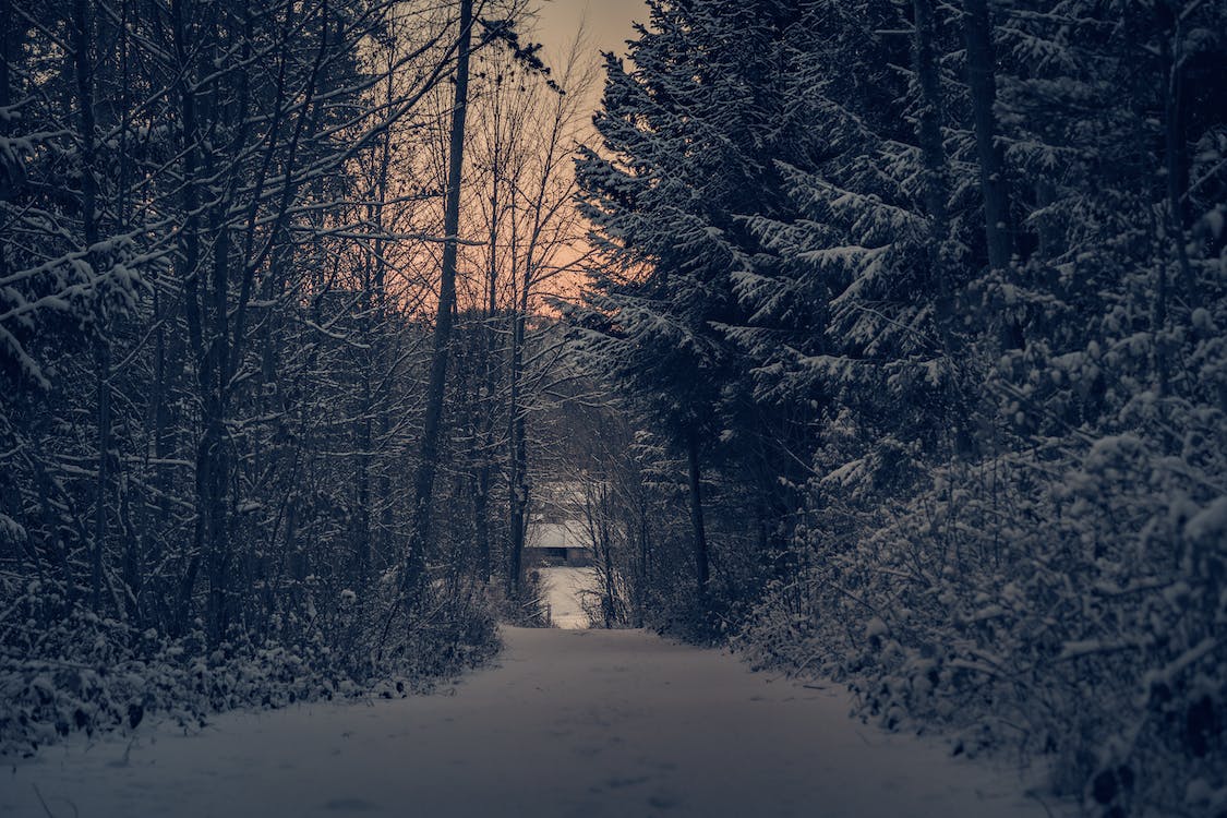 Dark Winter Road Way Wallpapers - Wallpaper Cave