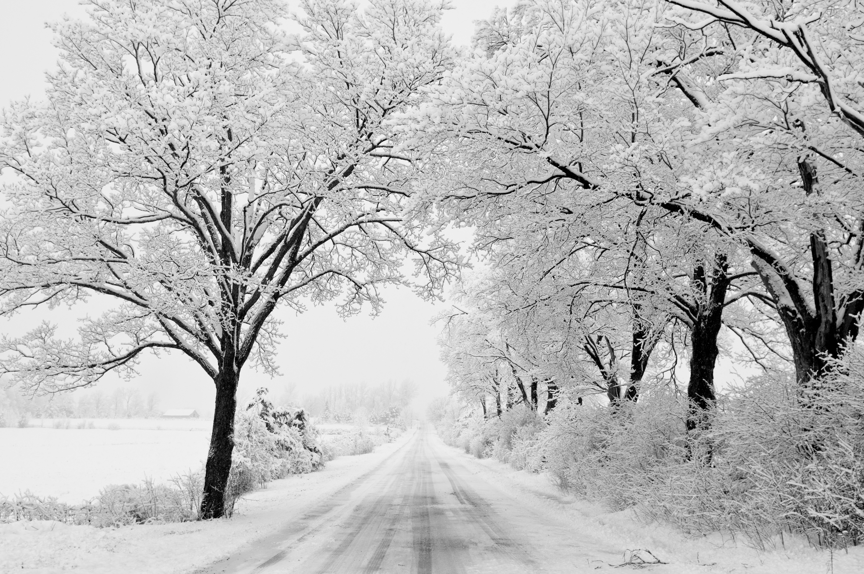 Dark Winter Road Way Wallpapers - Wallpaper Cave