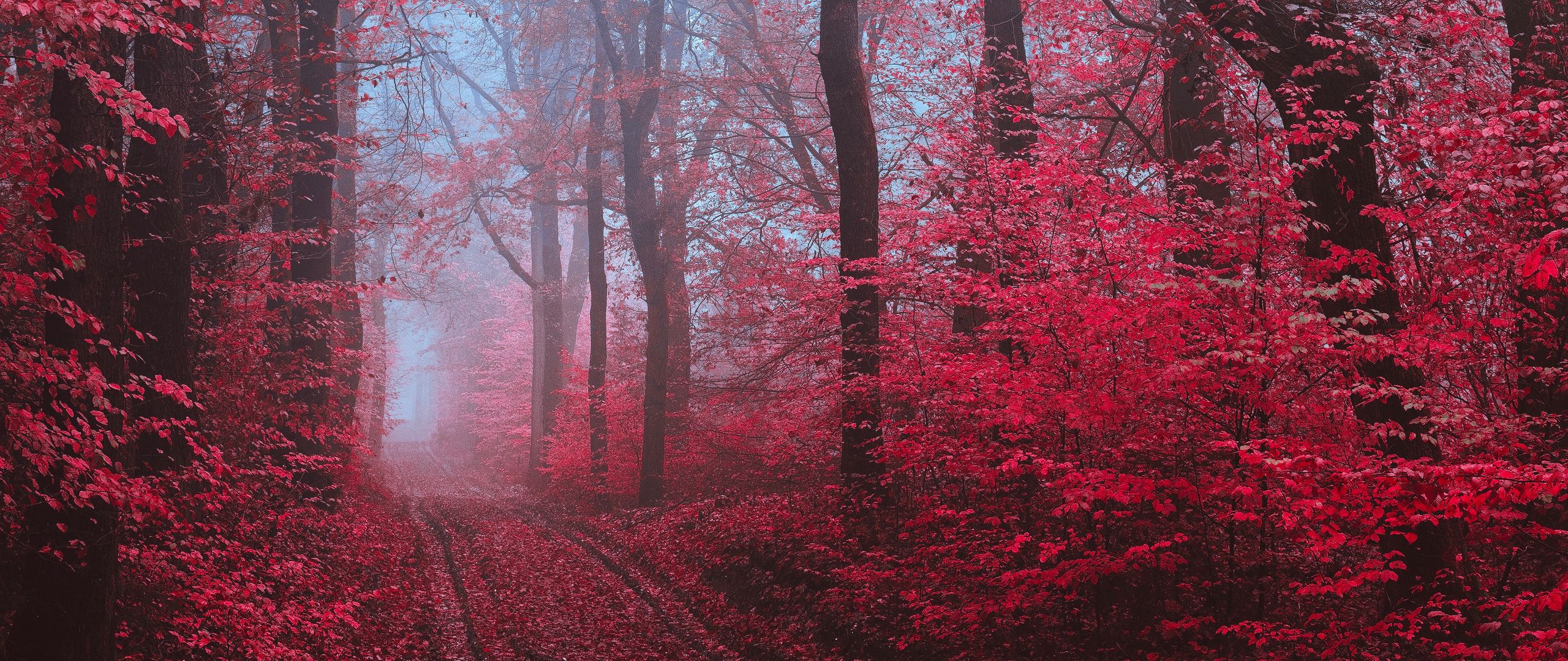 Red Fog Wallpapers - Wallpaper Cave